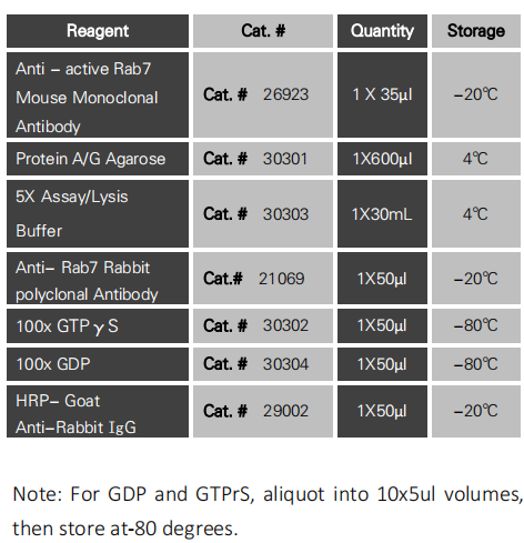 Rab7 Activation Assay Kit活性检测试剂盒