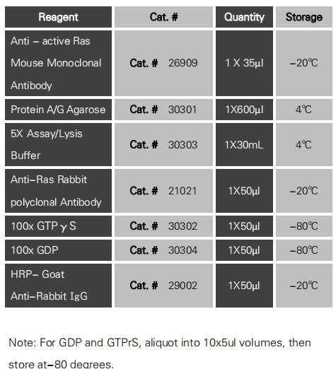 Ras Activation Assay Kit